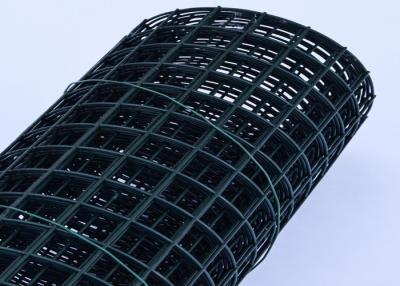 China Plastic Spraying Stainless Steel Welded Wire Mesh with 1/4 Inch - 6 Inch Mesh Size and 0.5mm-6.0mm Wire Diameter for sale