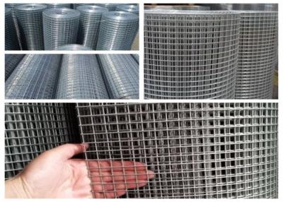 China Versatile Galvanized Welded Mesh Roll with High-Quality Steel Wire and Corrosion Resistant Surface for sale