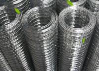 China Hot Dip Galvanized Welded Wire Mesh Roll 30M for Aviaries for sale