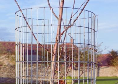 China Spot Welding Technique Welded Wire Mesh with Customizable Width and Electro Galvanized Surface for Durable Protection for sale