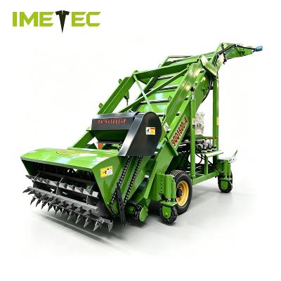 China Horizontal Travel Silage Loader Reclaimer Cattle Sheep Livestock Feeding Equipment for sale