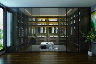 China Frosted Glass Black Steel Stainless Closet Modular Wardrobe Clothes Organizer for sale
