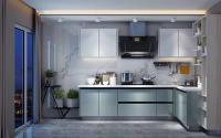 China 304SS 316SS Solid Stainless Steel Kitchen Cabinet Units L Shaped for sale