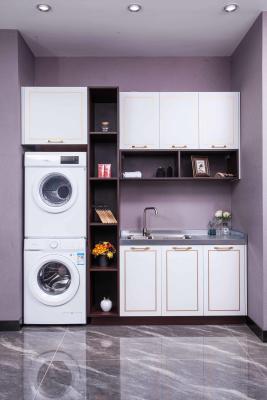 China Waterproof 304SUS Stainless Steel Laundry Cabinet Sink Storage Washer Dryer for sale