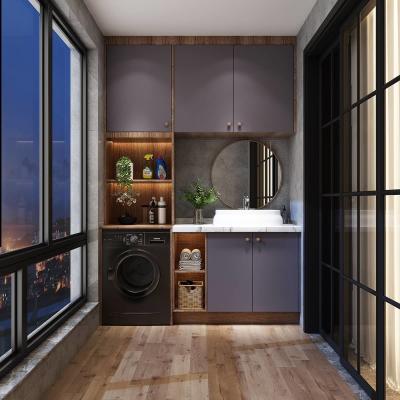 China 50 Liters Capacity Stainless Steel Balcony Cabinet Providing Durable Storage Solution and Weather Resistant Features for sale