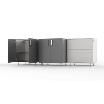 China Two-Door Storage Cabinet for Modular Outdoor Kitchens for sale