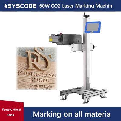 China 60W CO2 Laser Marking Machine 10in Touchscreen for Permanent Marking on Food Packaging Fabric Rubber for sale