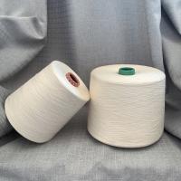 China High Filament O/E Original Polyester Viscose Blended Yarn For 75D/24F Yarn 16S Wholesale Price for sale