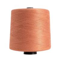 China Fancy Count 30/1 30S/2 Thread Sewing Rayon Knitting Viscose Blended Yarn 40S/1 60S 20S for sale