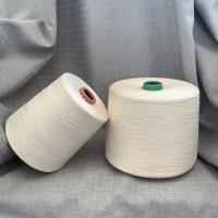China Custom 30S/2 Rayon Hot 100% Viscose Rayon White Spun 20S Dyed 300D Ring Spun Yarn for sale