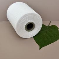 China Custom 30S/2 Rayon Hot 100% Viscose Rayon White Spun 20S Dyed 300D Ring Spun Yarn for sale