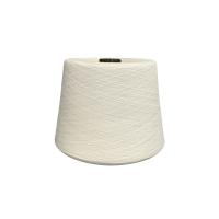 China High Raw Color T Shirt Yarn Polyester Mono Tfo 0.11Mm Blended 36F Melt for sale