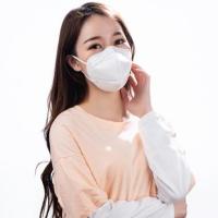 China Comfortable Anti Pollution Mask N95 Disposable Face Mask For Food Hygiene for sale