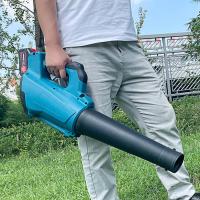 China 1000W Combustion Leaf Blower High Pressure Electric Snow Blowing Soot Dust Remover for sale