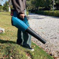 China Profesional Lithium Cordless Leaf Blower Low Noise 21V Electric Blower Garden for sale