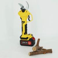 China Tool 21V Lithium Battery Tree Pruner Scissors Cordless Electric Hand Garden for sale