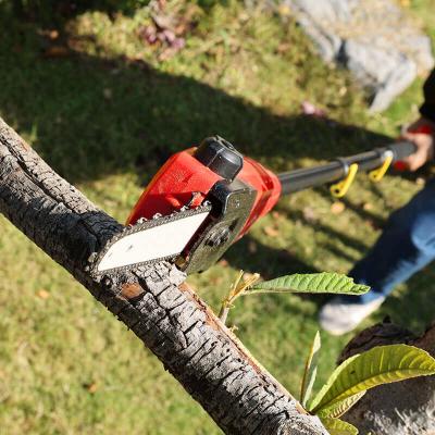 China 180-300cm Telescopic Reach Lightweight Battery Pole Saw With Extension for sale