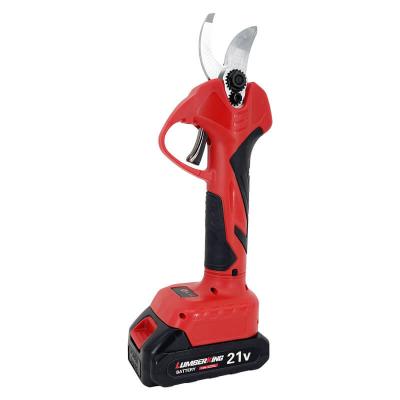 China Professional Wood Scissors Gardening Electric Pruning Shears Pole Lithium Trimmer for sale