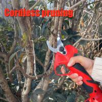 China Electric High Branch Pruning Set Lithium Battery Cordless Handheld Telescopic Pole Tree Branch Pruning Shear Pruner for sale