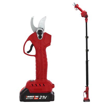 China Electric Chain Saw Pruning Cutter Long Pole Chainsaw Garden Pruner Shears By DIY Gardeners for sale