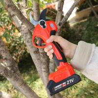 China Household Industrial Power Shears Electric Pruning Scissors With SK5 Blade Lithium Battery Shear for sale