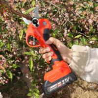 China Professional Cordless Battery Powered Electric Garden Tree Pruning Shears Scissors With SK5 Blade for sale