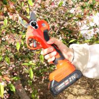 China Factory Direct Affordable Electric Garden Scissors Telescopic Pruning Scissors Set for sale