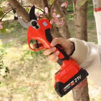 China Telescopic Battery Pruner Tree Pruner Battery Pruning Shears Tree Pole Pruner 2 Batteries 1 Charger Pruning Shears Electric for sale