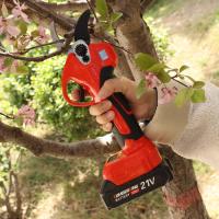 China 20 Volt  Long Handle Tree Pruners Forbici Bonsai Pruning Shears Battery Chain Saw Pruner for sale
