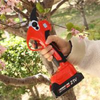 China Cordless Electric Battery Garden Tree Pruner Power Shears For Branch Cutter Pruning Shear for sale