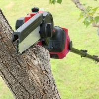 China 6in Industrial Grade Handheld Wood Cutting Tools Brushless Handheld Mini Cordless Battery Chainsaw For Branch for sale