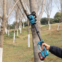 China 12 Inch 800W Telescopic Electric Pole Chainsaw for Tree Pruning and Garden Cutting for sale