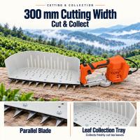 China Single Person Electric Tea Harvester Machine Portable Cordless Tea Leaf Plucker Pruner for Farm Garden Plantation for sale
