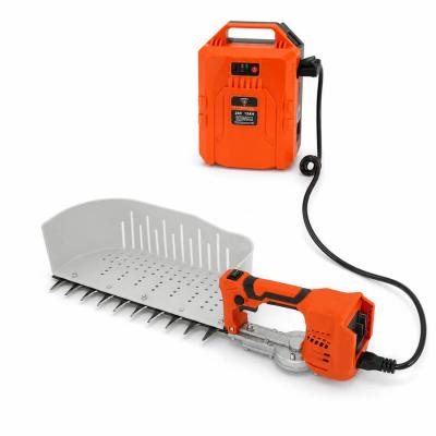 China Dual Power Battery Electric Tea Plucker Handheld Cordless Tea Harvesting Machine with Backpack Battery and Tray for sale