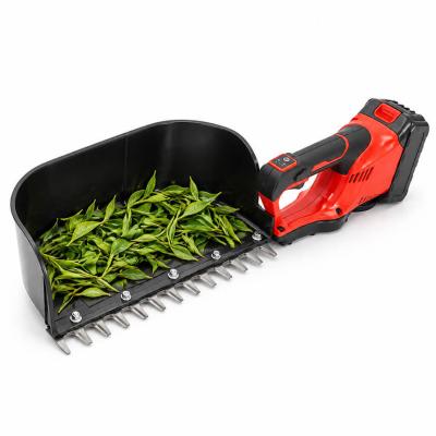 China Cordless Handheld Tea Leaf Plucker & Herb Harvester, [21V/24V] Electric Garden Cutting Machine for Tea, Lavender & Shrub Trimming for sale