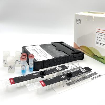 China Chemiluminescence Immunoassay BNP Reagent for POCT Brain Natriuretic Peptide 25 Tests for sale