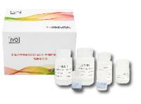 China Viral Nucleic Acid Extraction Kit 36 Tests 48 Tests 96 Tests Magnetic Bead Method High Recovery for sale