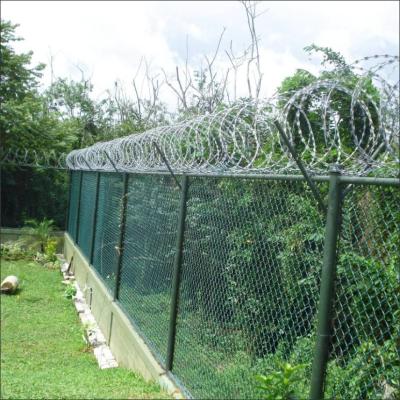China Economical Custom Design  China An Ping Factory PVC Coated Welded Wire Mesh Animals Fencing for sale