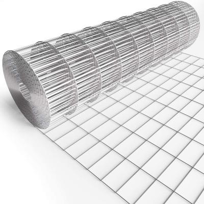 China Good Price Iron Galvanized Welded Wire Mesh Roll For Bird for sale
