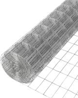 China Uk Market 1.3mm Electro Galvanized Iron Wire Mesh 1/2x1
