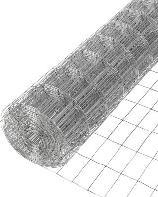 China Uk Market 1.3mm Electro Galvanized Iron Wire Mesh 1/2x1