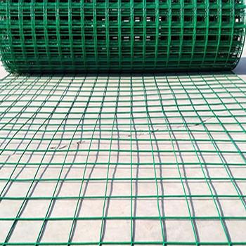 China Hot Selling Good Quality China Factory Direct Sale  1/4 Inch Pvc Coated Welded Wire Mesh for sale
