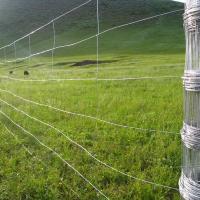 China Factory Hight Quality Goat Farming Field Fence For Sheep And Cattle for sale