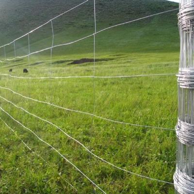 China Factory Hight Quality Goat Farming Field Fence For Sheep And Cattle for sale
