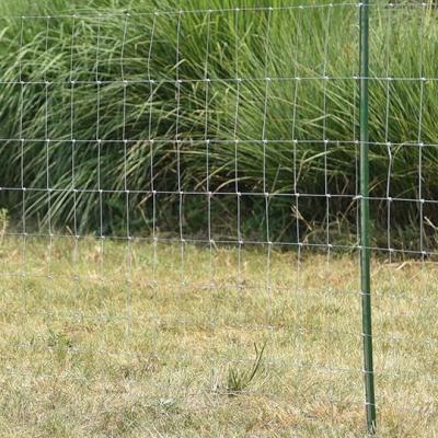 China Hot Dipped Galvanized Metal Deer Fence/fixed Knot Type Field Farm Fence for sale