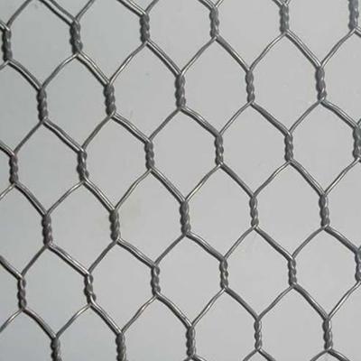 China PVC Coated Cage Coop Fence Wire Mesh Rolls Hexagonal Wire Mesh Netting For Stone Loading for sale