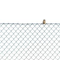 China pvc wire mesh plastic coated chain link fence aquaculture purse seine orchard protection net pvc coated chain link fence for sale