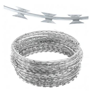 China High Quality CBT 65 Anti Climbing Razor Barbed Wire Galvanized Concertina Wire With Pallet For Security for sale