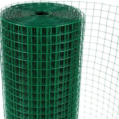 China Superior 1/4 Inch Galvanized Welded Wire Mesh Pvc Coated for Height 0.2m-2m Silver Green for sale