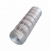 China Hot Dipped Galvanized Woven Wild Hinge Joint Knot Horse Fence for Cattle Farm Field for sale